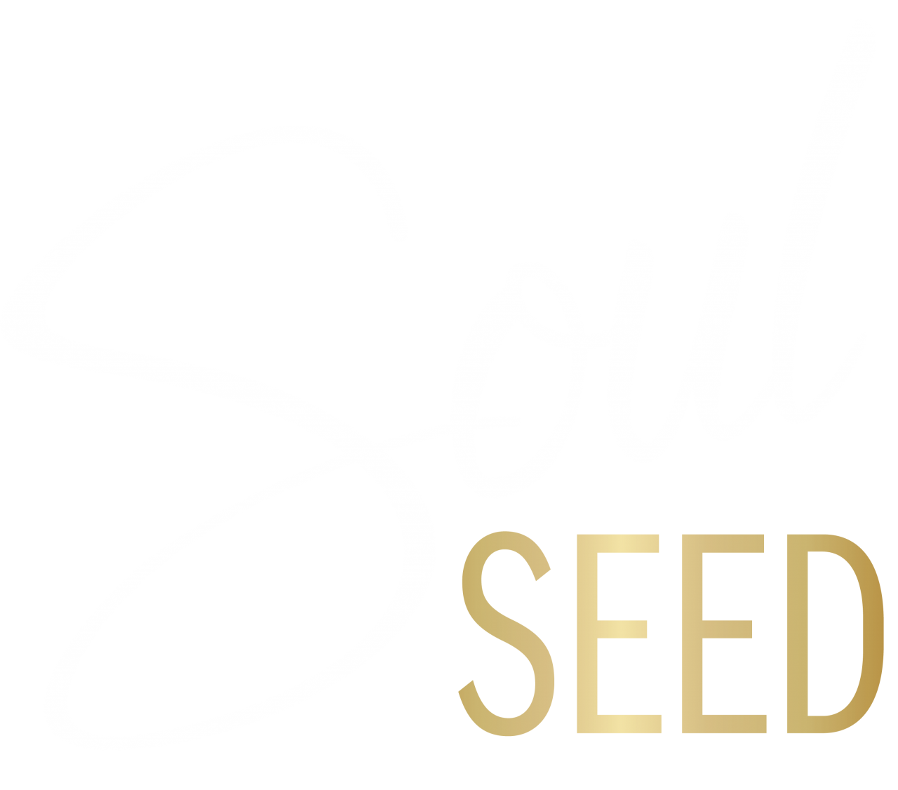 Blog - Soul Seed